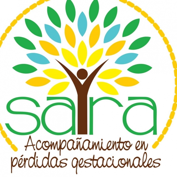 El proyecto SARA